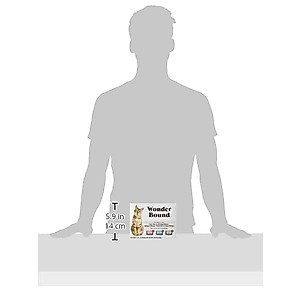 Amazon Brand - Wonder Bound Wet Cat Food, Pate, No Added Grain, Variety Pack (Cod, Sole & Shrimp, Salmon, White Fish & Tuna), 3 ounce (Pack of 24)