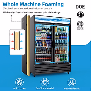 JAE Double Doors Merchandiser Refrigerator, Low-E Tempered Glass Display Refrigerator, Auto-defrost Upright Beverage Cooler w/Digital Temp. Control, R290 Eco-friendly Compressor, ETL, 31.1 Cu. Ft