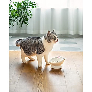 Raised Cat Food Bowl Ceramic 15° Tilted Cat Food Bowls Protect Cat's Spine Anti Vomiting Backflow Prevention Cat Bowls for Adult Cats, Kitten, and Small Dogs, Pink