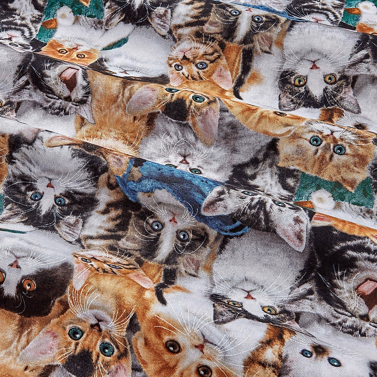 Cat Breeds Packed Cats Multi, Fabric by the Yard