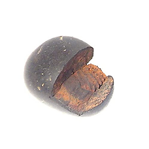 phoenix888 XUETZALCOATL Sacred Surya Maha Vishnu Buddha Dev Shaligram Nepal Kali Gandaki