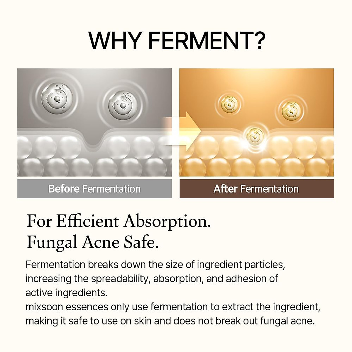 mixsoon Bean Essence Exfoliating Hydrating Korean Skin Care Glass skin Hyaluronic Acid Serum (1.6 Fl Oz (Pack of 1))