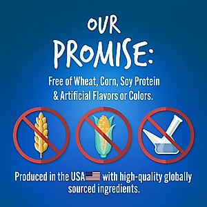 Fruitables Biggies Dog Biscuits – Crunchy Dog Biscuits Made with Pumpkin – Healthy Dog Treats Packed with – Free of Wheat, Corn and Soy – Pumpkin & Blueberry – 16 Ounces