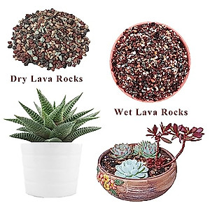 JFWOD 3lb Succulent and Cactus Soil Bonsai Gritty Mix 6-9mm Small Horticultural Lava Rocks for Fairy Garden, Terrarium, DIY Projects, Top Dressing Fast Draining Prevent Over Water