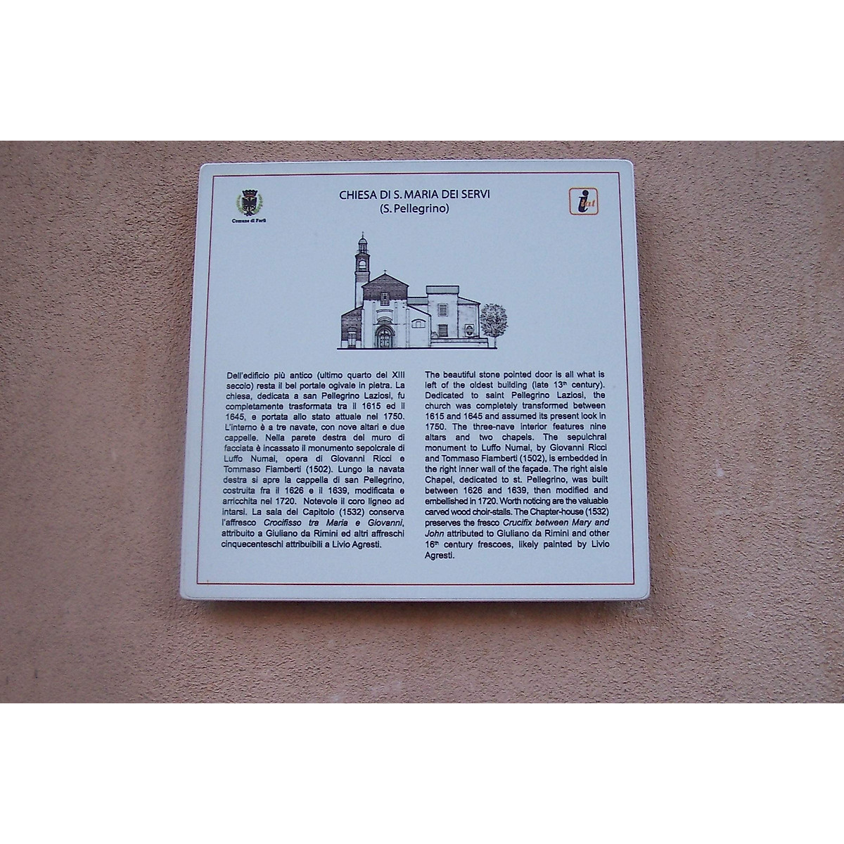 The Christian Mint, LLC St Peregrine Patron Saint of Cancer Medal w/Capsule of St Peregrine Soil (Women's 3/4-inch diameter)