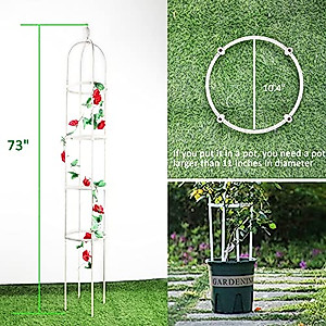 Garden Trellis for Climbing Plants, Rustproof Metal Pipe with Heavy Duty 6ft, Garden Outdoor Indoor Potted Plant Support（White）…
