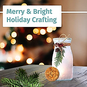 Otis Classic Small Glass Jars with Lids – Set of 12 Mini Glass Bottles with Corks for Halloween Decorations Fall Décor Wedding & Party Favors, Halloween DIY Crafts, Potions, Spices & Candy, 3.4 oz