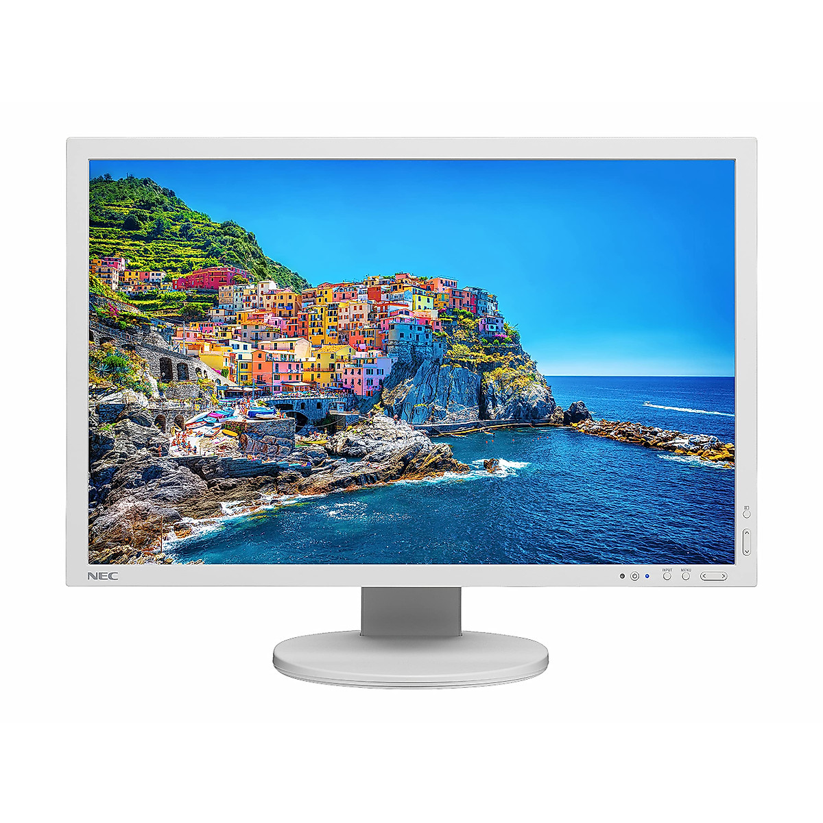 24IN WS LCD 1920X1200 PA243W DP