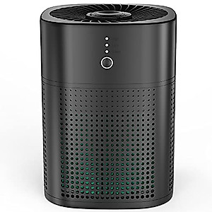 Air Purifier for Bedroom, H13 True HEPA Filter Air Purifier, 360° Air Intake with 5-Stage Filtration, 24db Filtration System Air Cleaner Remove 99.97% Dust Smoke Pollen for Pets Allergies Black