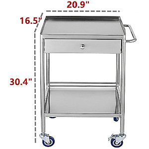 YIYIBYUS Stainless Steel Cart 2 Layer Medical Dental Laboratory Rolling Cart Mobile Equipment Serving Carts with Silent Wheel Trolley Cart