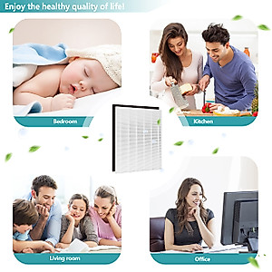 Lhari 2-Pack D480 True HEPA Replacement Filter, Compatible with Winix D480 Air Purifier, Compare to Winix D4 Filter, Part Number 1712-0100-00, 2-Pack