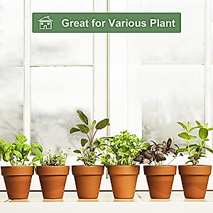 4 Inch Terracotta Pots with Saucer - 6 Pack Small Clay Plant Pots with Drainage Holes, Flower Pots with Tray, Terra Cotta Pots for Indoor Outdoor Plants, Crafts, Wedding Favor