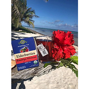 Herbal Cup Ayurveda Elderberries Tea, Organic Rosehips Hibiscus, No Caffeine Herbal Supplement (16 Count, Pack of 1)