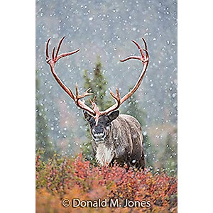 Sierra Club Engagement Calendar 2021