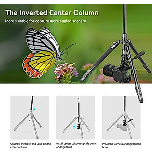 SmallRig 72" Video Tripod Monopod with Fluid Head, Aluminum Camera Tripod, 360° Panorama Ball Head for Travel, Video, Live Streaming, Vlogging, Adjustable Height from 16.5" to 72" - 3760