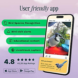 Bird Buddy Solar Smart Bird Feeder with Camera - Ai Bird Species Identification, 5Mp Photos, 2K Hd Video Live Stream Camera, Solar-Powered Charging, 2.8In Focus - Blue