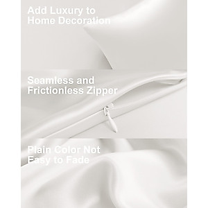 THXSILK 100% Silk Pillowcase for Hair and Skin, Both Sides Grade 6A+ 22 Momme Mulberry Silk Pillow Case with Hidden Zipper, Soft & Smooth White Pillowcase(1pc, Queen Size 20"x30")