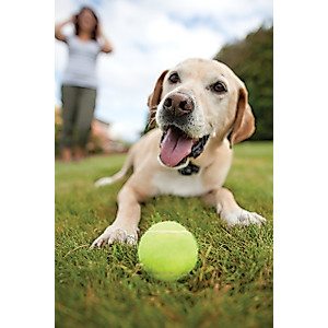 PetSafe In-Ground Radio Fence