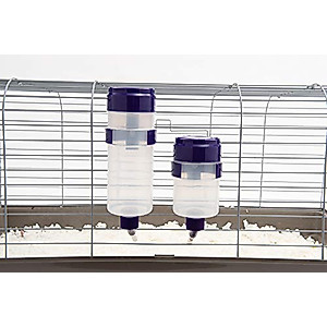 Lixit Lever Valve Top Fill No Drip Water Bottles for Rabbits, Chinchillas, Ferrets, Guinea Pigs and Adult Rats (32oz)