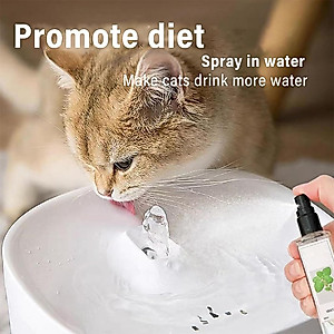 DENGWANG Herbal Cat Joy, Kitty Joy Herbal Cat Joy, Celery Pets Herbal Cat Joy, Kitty Joy Herbal Spray, Cat Stress and Anxiety Relief, Happy Living Space for Your Cat (3Pcs)