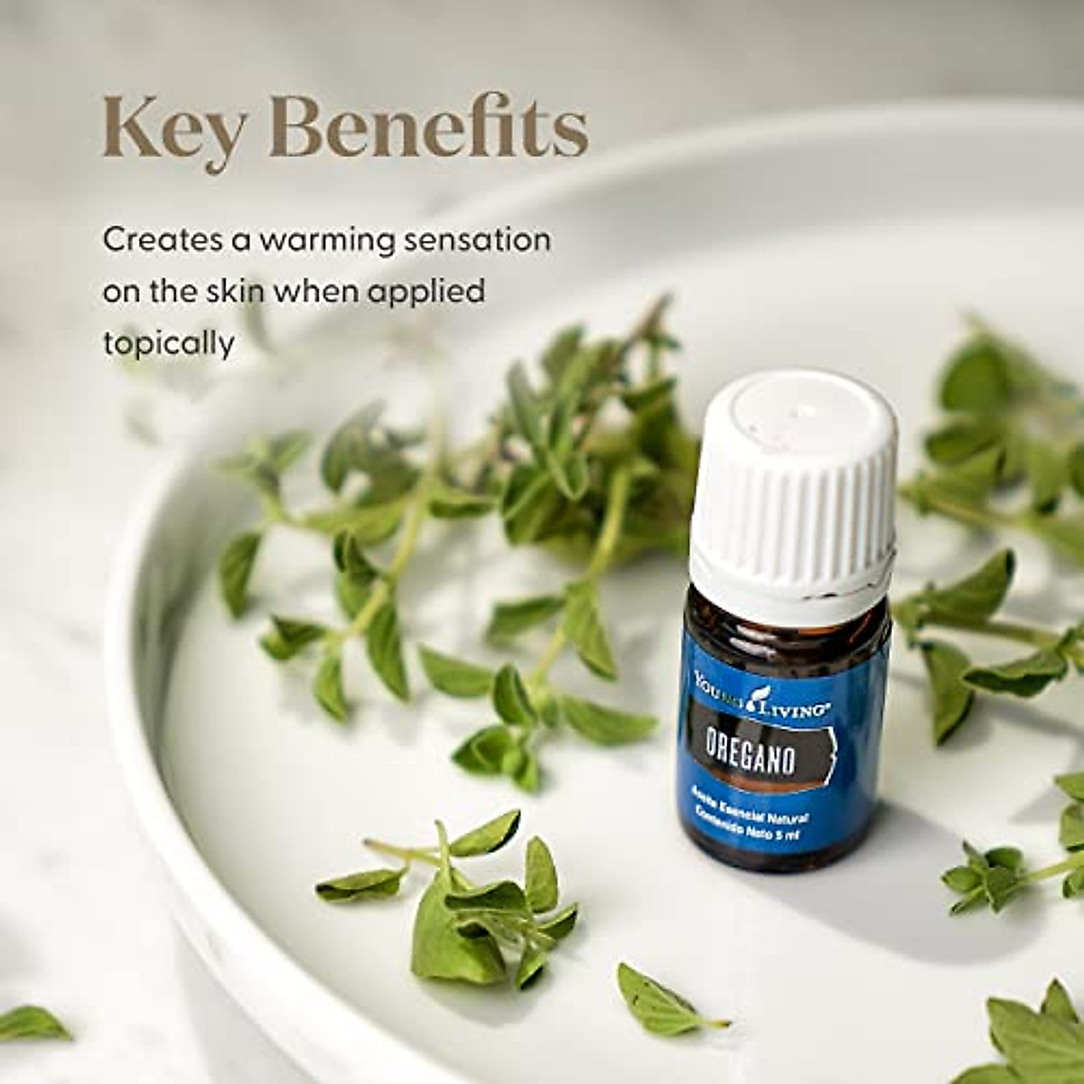 Young Living Oregano Essential Oil 15 ml Bottle - Natural Immune Support and Cleansing - 100% Pure and Potent - Strengthen the Energy Centers of the Body