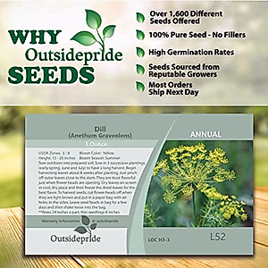 Outsidepride Anethum Graveolens Dill Herb Garden Plants for Cooking & Beneficial Insects - 1 Ounce