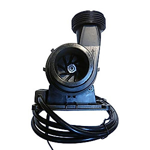 Laing E14 1-1/2-Inch Buttress Thread Circulation Spa Pump, 230-Volt