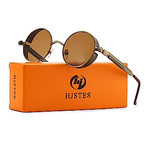 HJSTES Vintage Round Steampunk Sunglasses for Women Men Circle Gothic Glasses Retro Metal Frame(Brown Lens/Bronze Frame)
