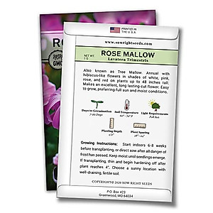 Sow Right Seeds - Tree Mallow Hibiscus Seeds to Plant - Full Instructions for Planting and Growing a Beautiful Flower Garden; Non-GMO Heirloom Seeds; Wonderful Gardening Gift (1)