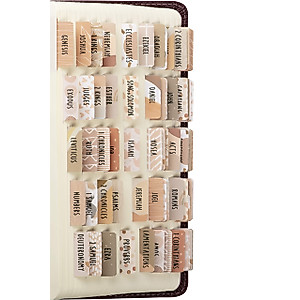 DiverseBee Laminated Bible Tabs (Large Print, Easy to Read), Bible Journaling Supplies, Bible Book Tabs, Christian Gift, 66 Bible Tabs Old and New Testament, Includes 11 Blank Tabs - Cappuccino Theme