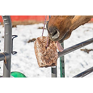 REDMOND - Rock on a Rope Unrefined Salt Rock for Horses 3 to 5 lbs (3 Pack)