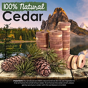 ecoKiwi Cedar Blocks for Clothes Storage - 55 Pack Cedar Rings - 100% Natural Aromatic Cedar for Closets & Drawers - Red Cedarwood Oil Scented Chips with Sandpaper - Cedar Planks Freshener Deodorizer