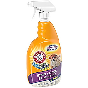 Arm & Hammer Pet Stain and Odor Eliminator, 32 Fl Oz (Pack of 2)
