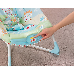 Fisher-Price Soothe & Go Bouncy Seat