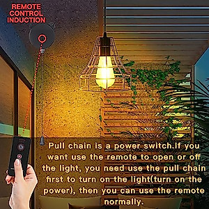 GOSUNWEY Solar Pendant Lights Outdoor Indoor with Remote, Chicken Coop Lights Solar Powered Shed Light with ON Off Switch,Solar Indoor Lights for House Garage Greenhouse Patio Barn Storage