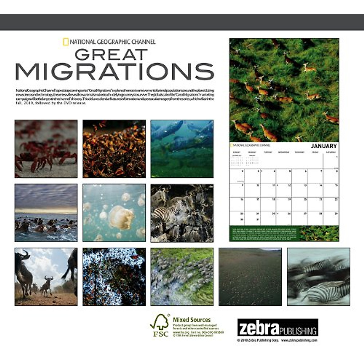 2011 Great Migrations - National Geographic Channel Calendar