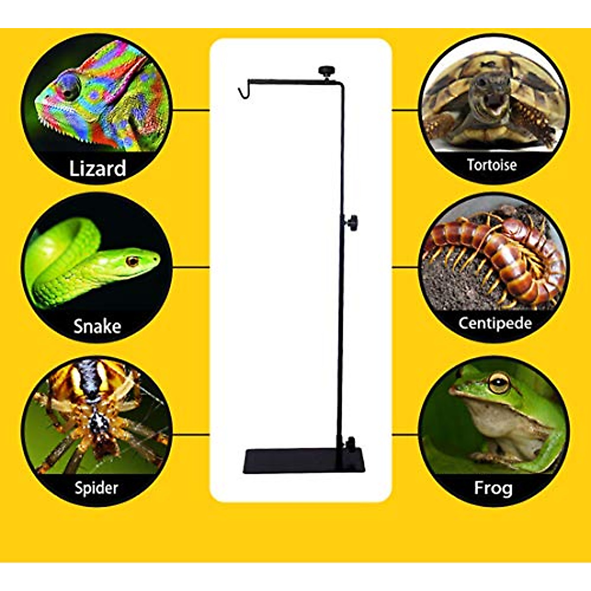 Hamiledyi Reptile Lamp Stand Landing Lamp Stand Bracket Adjustable Floor Light Holder Stand Metal Lamp Support for Reptile Glass Terrarium Heating Light