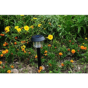 Solario Garden Decor Solar Powered Stake Lights- Pack of 6- Decorative Classic Lamps- Highest Lumen LED Brighter Than Standard- Superior Monocrystalline Panel (Black)