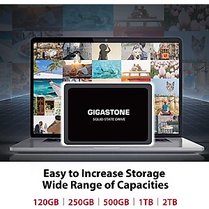 Gigastone SATA SSD 500GB (2-Pack) 2.5 inch SSD 520MB/s Upgrade Laptop PC Memory and Storage PS4 HDD Replacement 2.5" Internal Solid State Hard Drives SATA III SLC Cache 3D NAND Increase Performance