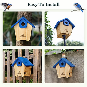 Kingsyard Wooden Bluebird House, Bird House with Predator Guard, Nesting Box Birdhouse for Outside Wild Bird Watching, Royal Blue