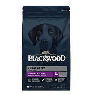 Blackwood Large Breed Dry Dog Food, Whitefish with Ancient Grains, 24 Pound Bag for Adult Dogs, Slow Cooked with Green Mussels to Promote Hip & Joint Health