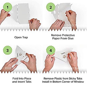 Trappify Sticky Gnat Traps, Window Fly Traps & Moth Traps for Outdoor & Indoor Home Pest Control - Fly, Gnats, Moths and Other Flying Insects Disposable Trap with Extra Sticky Adhesive - 20 Traps