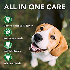 Vet’s Best Enzymatic Dog Toothpaste | Teeth Cleaning and Fresh Breath Dental Care Gel | Vet Formulated | 3.5 Ounces