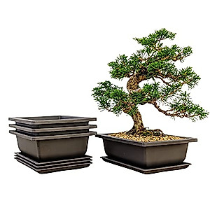 Bonsai Outlet Training Pots with Humidity Trays - Built in Mesh, Brown 8-Inch Large Planters + Made from Durable Shatter Proof Poly-Resin, Set of 3 Pot Set