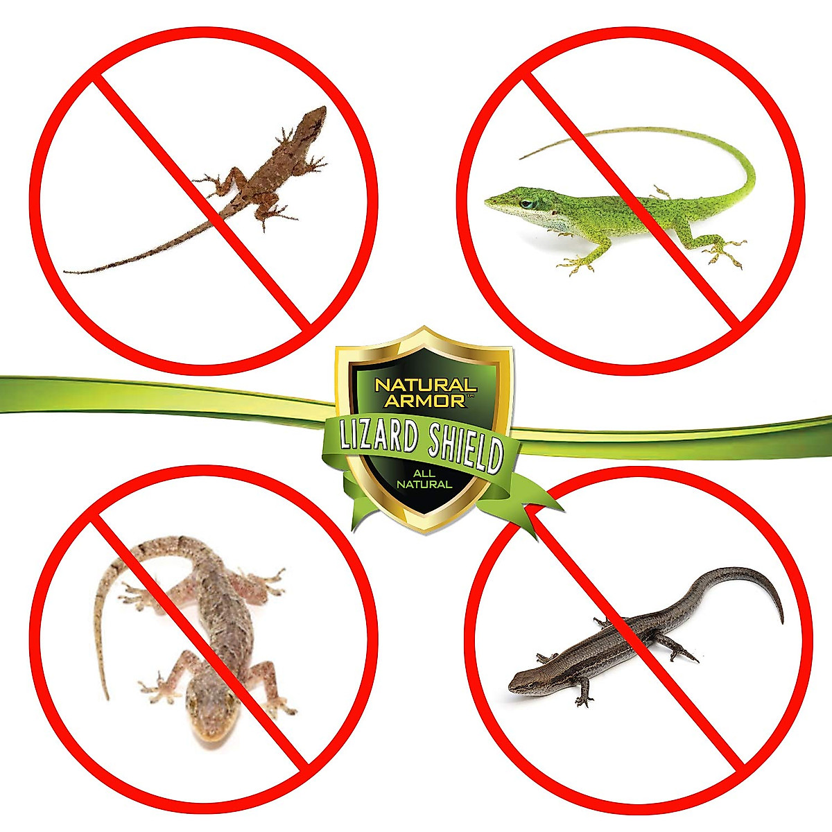 Natural Armor Lizard & Gecko Repellent Spray - Powerful Peppermint Formulation Repels All Types of Lizards & Geckos and Works Better Than Ultrasonic Gimmicks – 128 fl oz - Gallon Ready to Use