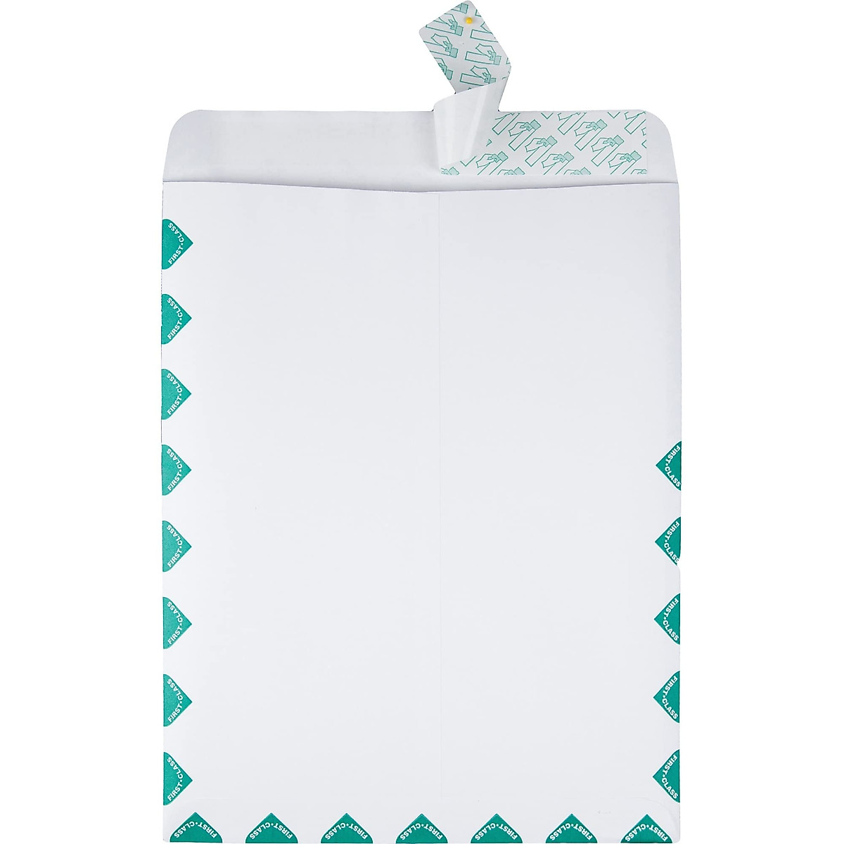 Quality Park 10 x 13 First Class Catalog Envelopes, First Class Border, Redi-Strip Self-Sealing Closure, 28 lb White Wove, 100 per Box (QUA44786)