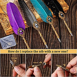 Quill Pen and Ink Set,Calligraphy Pen Set and Wax Seal Kit,3 Dip Pens with 6 Bottles of Colored Ink,17 Calligraphy Nibs in a Storage Box,Fun Feather Pen Calligraphy Gift (Black)