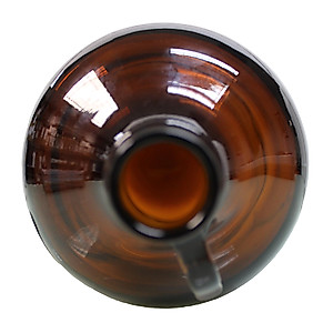 Environmental Express APC2800 Glass Jug, Level 3, Amber, 4 L, Safe-Coat; 6/CS