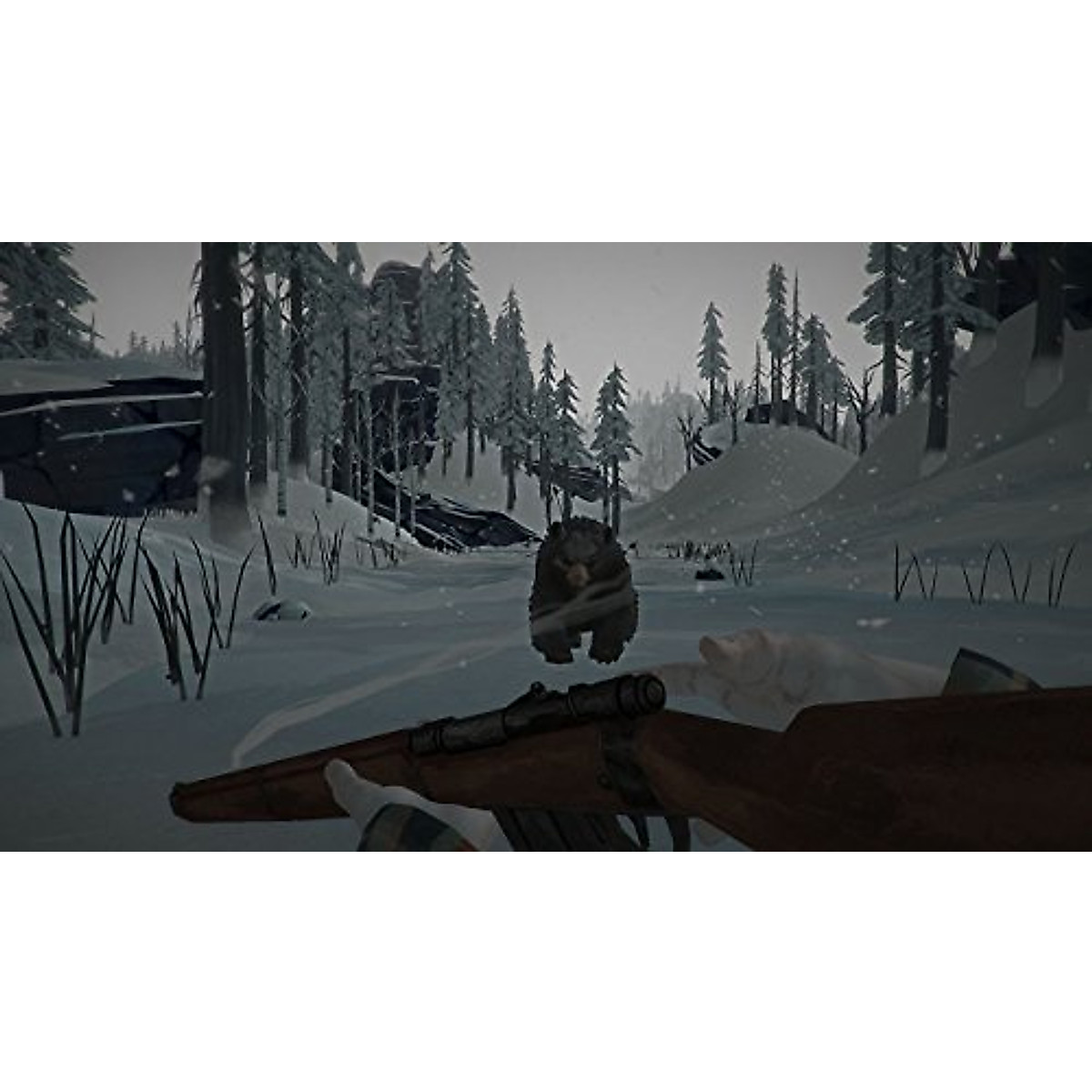 The Long Dark - PlayStation 4