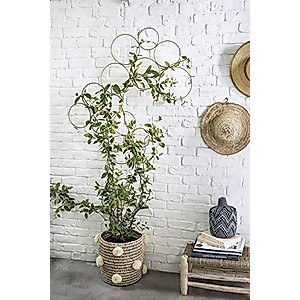 RISEON Boho Vintage DIY 13 PCS Bamboo Wall Trellis Set,Minimalist Plant Display Vertical Garden for Climbing Plants Potted Vines Vegetables Vining Flowers